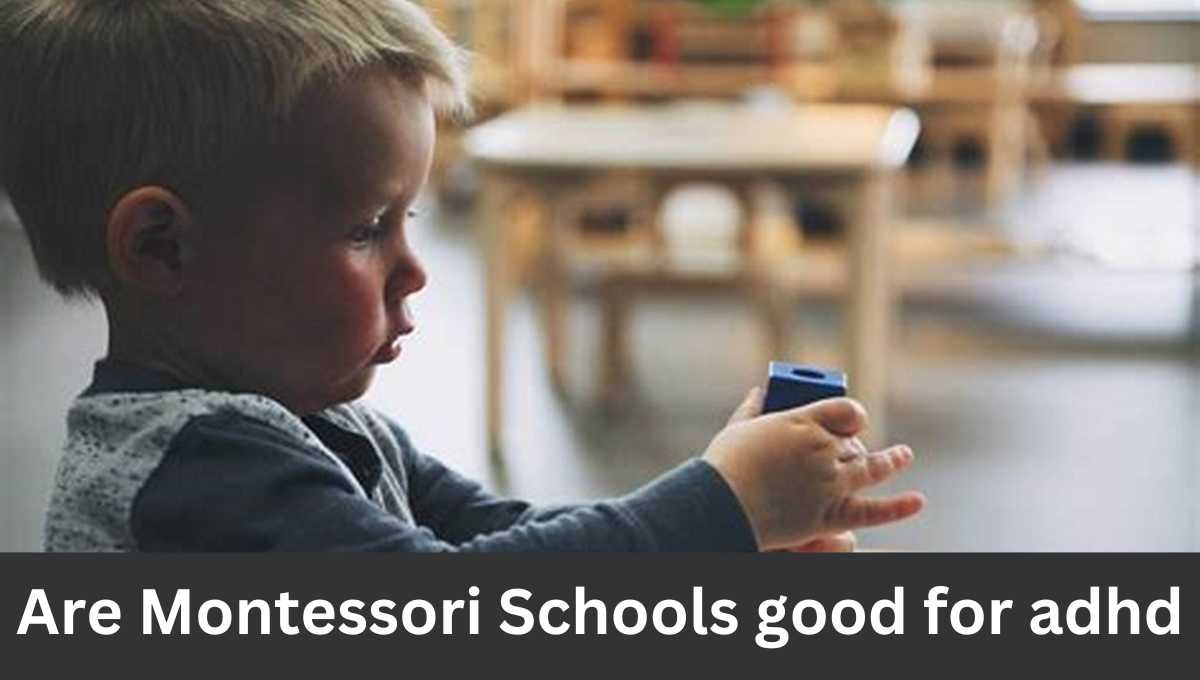 Are Montessori Schools Good For ADHD Montessori Line Are Montessori Schools Good For ADHD Montessori Line
