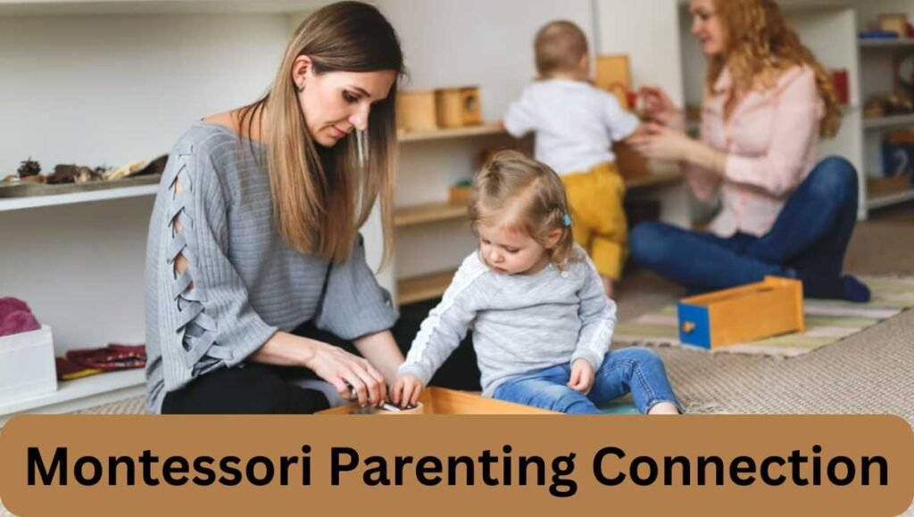 Montessori Evaluation - Montessori line
