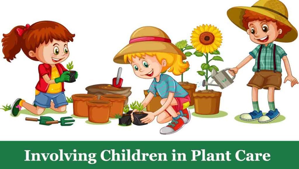How to Care for a Montessori Plant - Montessori line